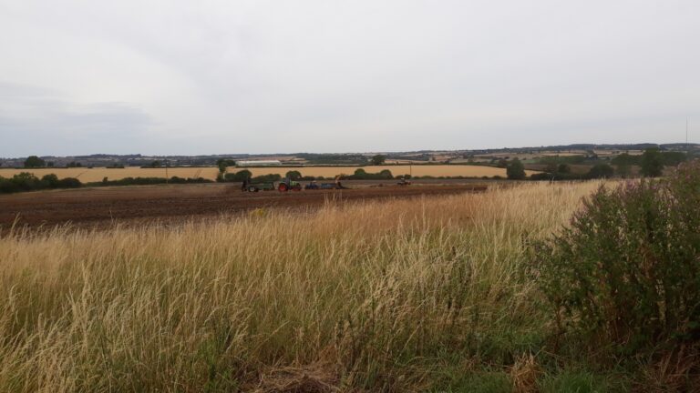 The Village – Burton Lazars